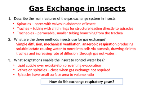 A-Level AQA Biology - Gas Exchange Bundle | Teaching Resources