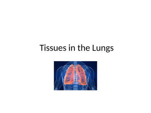 A-Level AQA Biology - Gas Exchange Humans | Teaching Resources