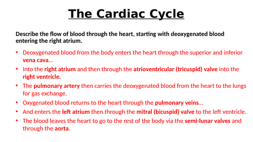 A-Level AQA Biology - Cardiac Cycle | Teaching Resources