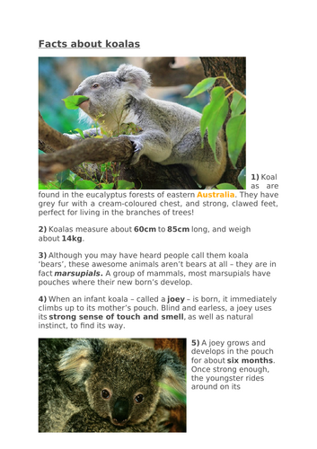 The Koala Who Could- English Y2 | Teaching Resources