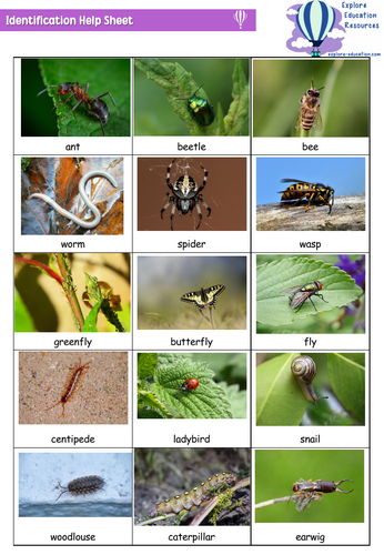 Animal Habitats - Outstanding KS2 Science Lesson | Teaching Resources