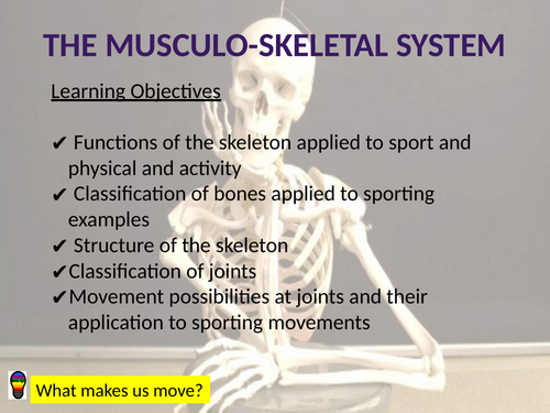 AQA GCSE PE Musculoskeletal System FULL CHAPTER | Teaching Resources