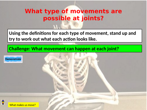 AQA GCSE PE Musculoskeletal System FULL CHAPTER | Teaching Resources