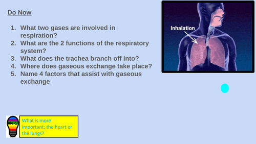 AQA GCSE PE Cardio-respiratory system FULL CHAPTER | Teaching Resources