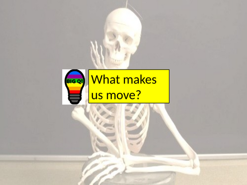 Aqa Gcse Pe Musculo Skeletal Functions Of The Skeleton Teaching