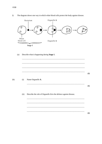 Antigens and Phagocytosis, lesson 1 Immunity | Teaching Resources