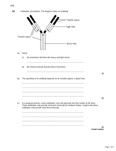Humoral Immunity: Lesson 3 Immunity | Teaching Resources