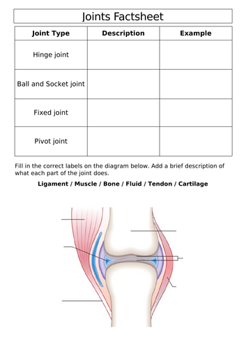 KS3 - Joints | Teaching Resources