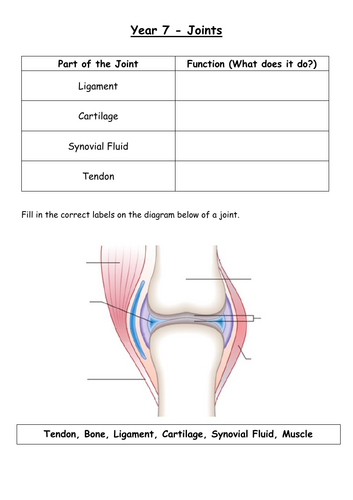KS3 - Joints | Teaching Resources