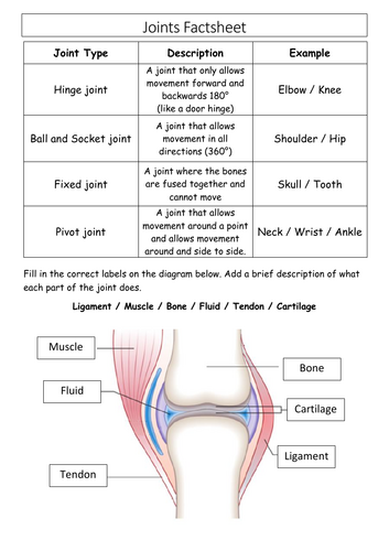 KS3 - Joints | Teaching Resources