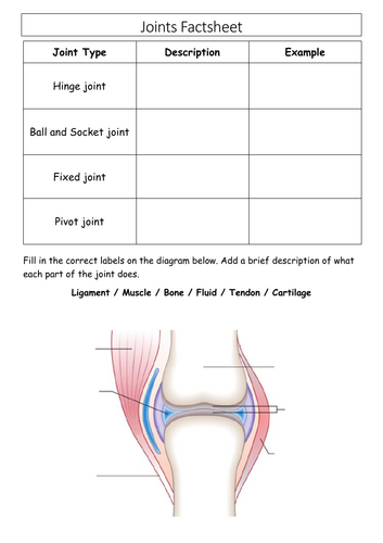 KS3 - Joints | Teaching Resources