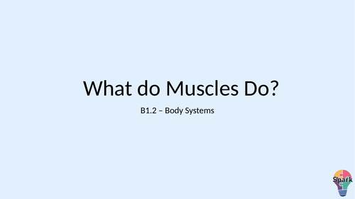 KS3 - Muscles | Teaching Resources