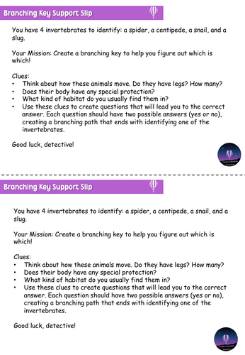 Classifying Animals with Branching Keys - Outstanding KS2 Science Lesson | Teaching Resources