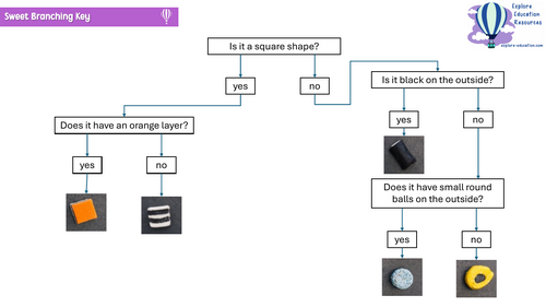 Classifying Animals with Branching Keys - Outstanding KS2 Science ...