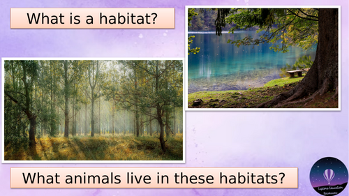 Classifying Animals with Branching Keys - Outstanding KS2 Science ...