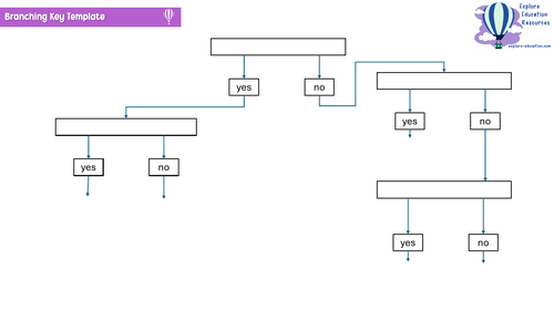 Classifying Animals with Branching Keys - Outstanding KS2 Science ...