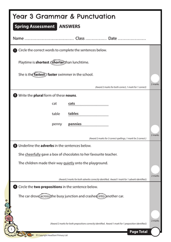 English Grammar and Punctuation Assessment | Teaching Resources