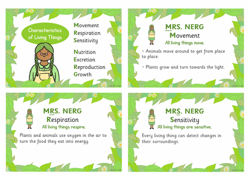 MRS NERG Science Posters | Teaching Resources