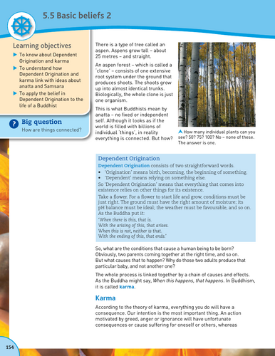 Buddhism Entire Unit of Work (KS3) | Teaching Resources