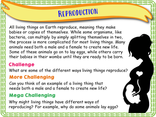 Human Reproduction - Year 6 PSHE | Teaching Resources