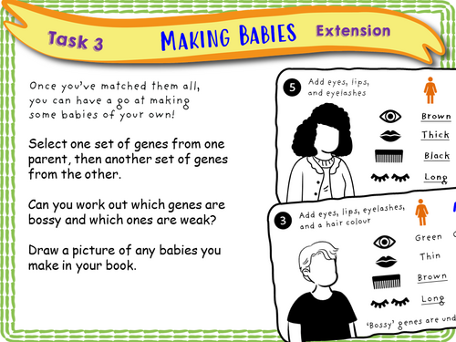 Human Reproduction - Year 6 PSHE | Teaching Resources