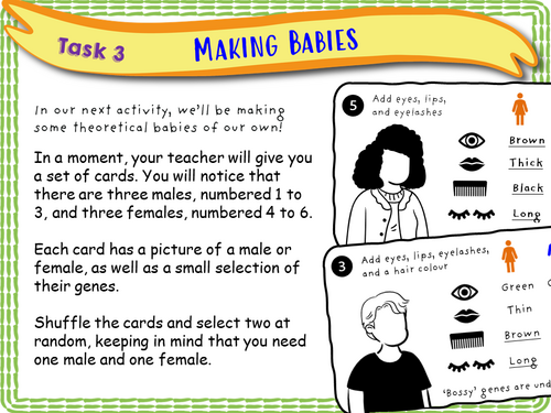 Human Reproduction - Year 6 PSHE | Teaching Resources