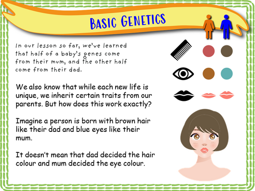 Human Reproduction - Year 6 PSHE | Teaching Resources