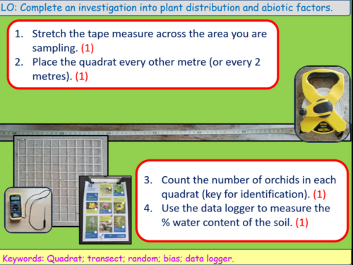 Quadrats and transect line - Required practical | Teaching Resources