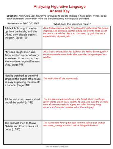 Two Degrees by Alan Gratz Novel Study Unit | Teaching Resources