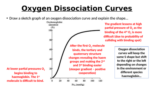 A-Level AQA Biology - Transport of Oxygen Bundle | Teaching Resources