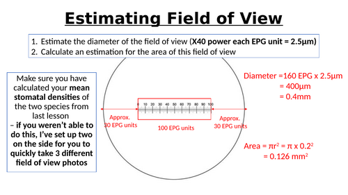 A-Level AQA Biology - Stomatal Density | Teaching Resources