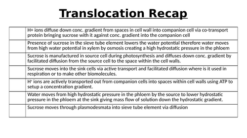 A-Level AQA Biology - Investigating Translocation | Teaching Resources
