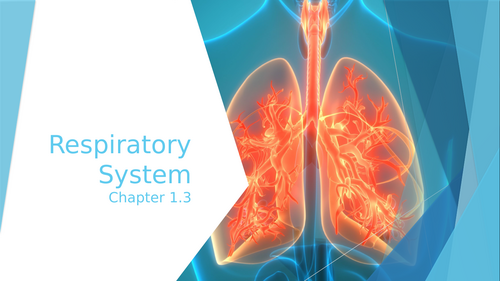CIE IGCSE 2024 - Physical Education - Anatomy & Physiology ...