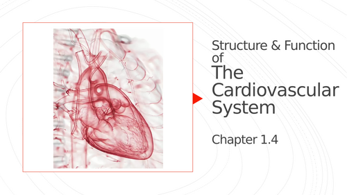 CIE IGCSE 2024 - Physical Education - Anatomy & Physiology ...