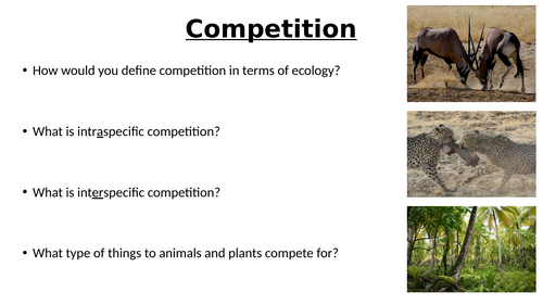 A-Level AQA Biology - Competition | Teaching Resources