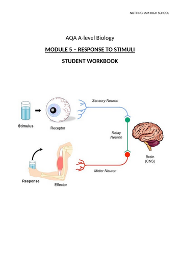 A-Level AQA Biology - Response to Stimuli Bundle | Teaching Resources