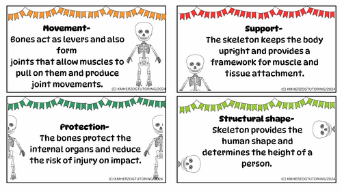 Biology and Anatomy revision fact cards- Main functions of the skeletal ...