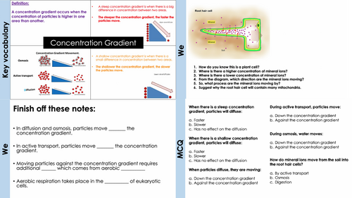 Factors affecting transpiration | Teaching Resources Factors affecting transpiration | Teaching Resources