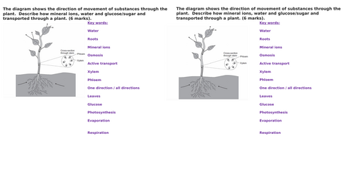 The carbon cycle | Teaching Resources
