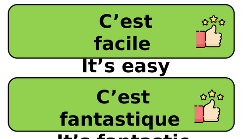 French adjectives display | Teaching Resources