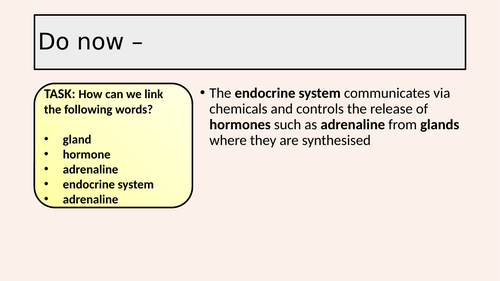 AQA A Level Psychology - Biopsychology - The Endocrine System ...