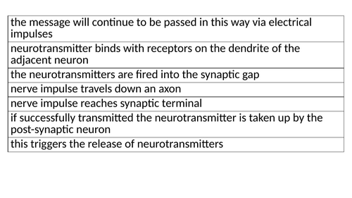 AQA A Level Psychology - Biopsychology - Neurons and synaptic transmission | Teaching Resources