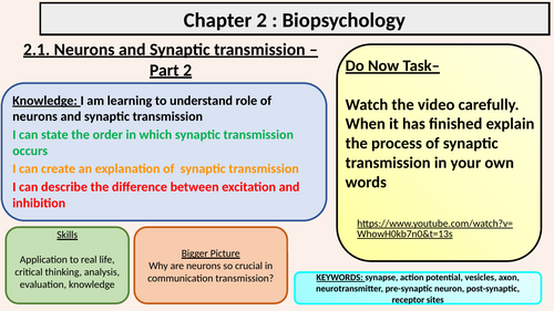 AQA A Level Psychology - Biopsychology - Neurons and synaptic ...