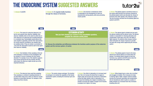 AQA A Level Psychology - Biopsychology - Neurons and synaptic ...
