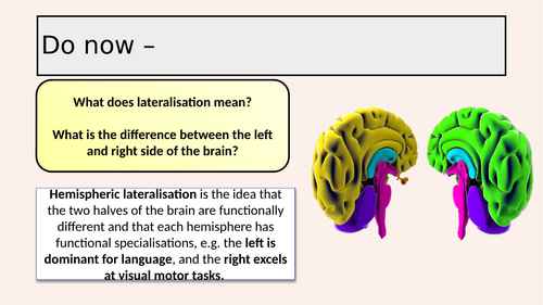 AQA A Level Psychology - Biopsychology - Hemispheric Laterialisation ...