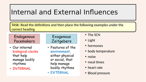 AQA A Level Psychology - Biopsychology - Biological Rhythms ...