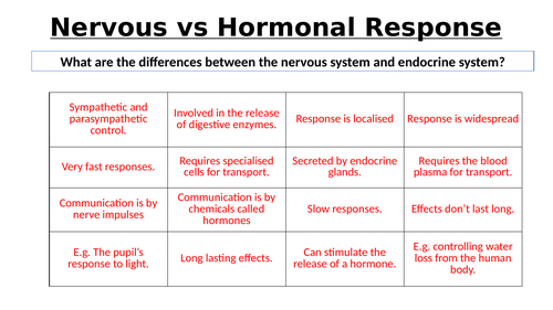 A-Level AQA Biology - Nervous System and Muscles Bundle | Teaching ...