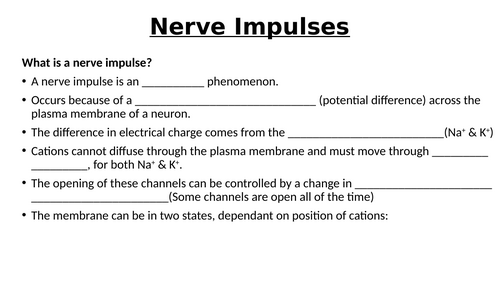 A-Level AQA Biology - Resting + Action Potentials | Teaching Resources A-Level AQA Biology - Resting + Action Potentials | Teaching Resources