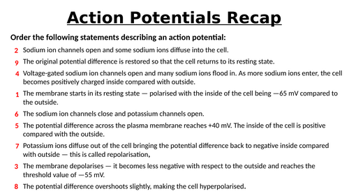 A-Level AQA Biology - Passage of Action Potential | Teaching Resources