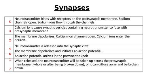 A-Level AQA Biology - Drugs and Synapse | Teaching Resources